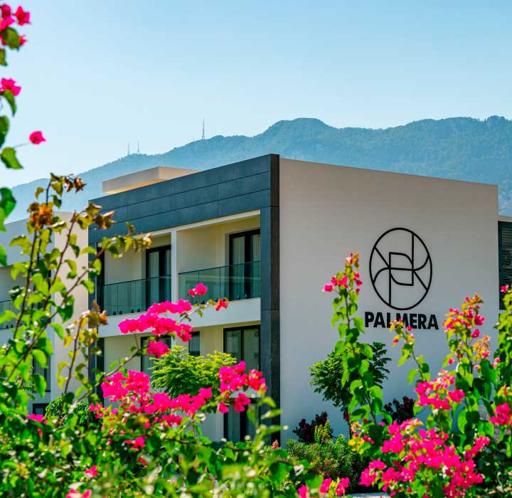 Palmera Resort | Hidden Sanctuary in The Garden of Eden